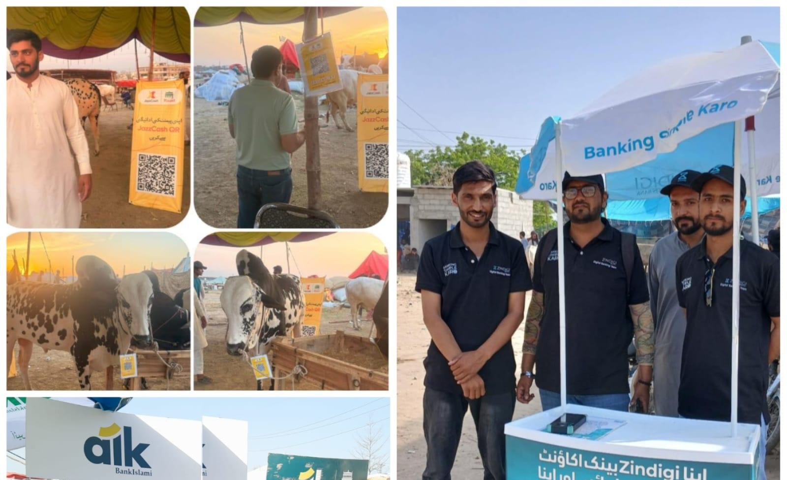 Driving Cashless Livestock Markets in Rawalpindi – Peak Point