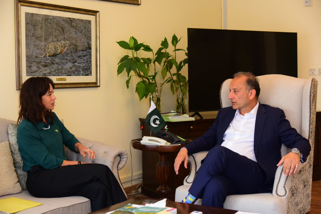 Federal Minister Dr. Musadik Malik Meets Ambassador of Sweden to ...