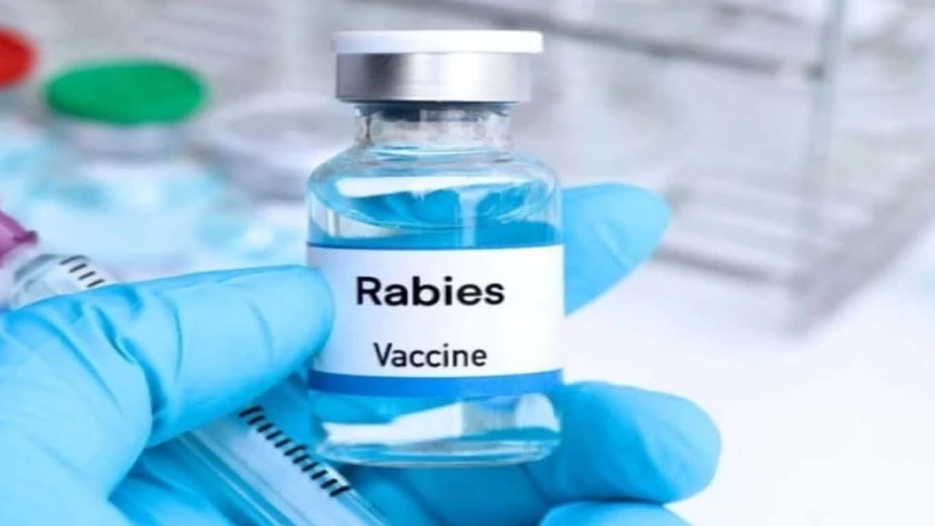 Pakistan Launches First Locally-Made Human Rabies Vaccine – Peak Point