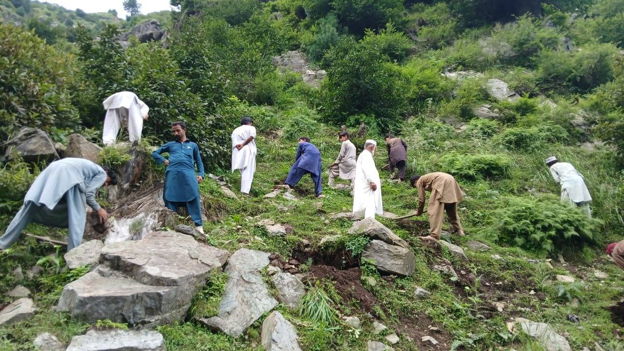 Monsoon 2025 Tree Plantation Drive in Upper Swat Forest – Peak Point